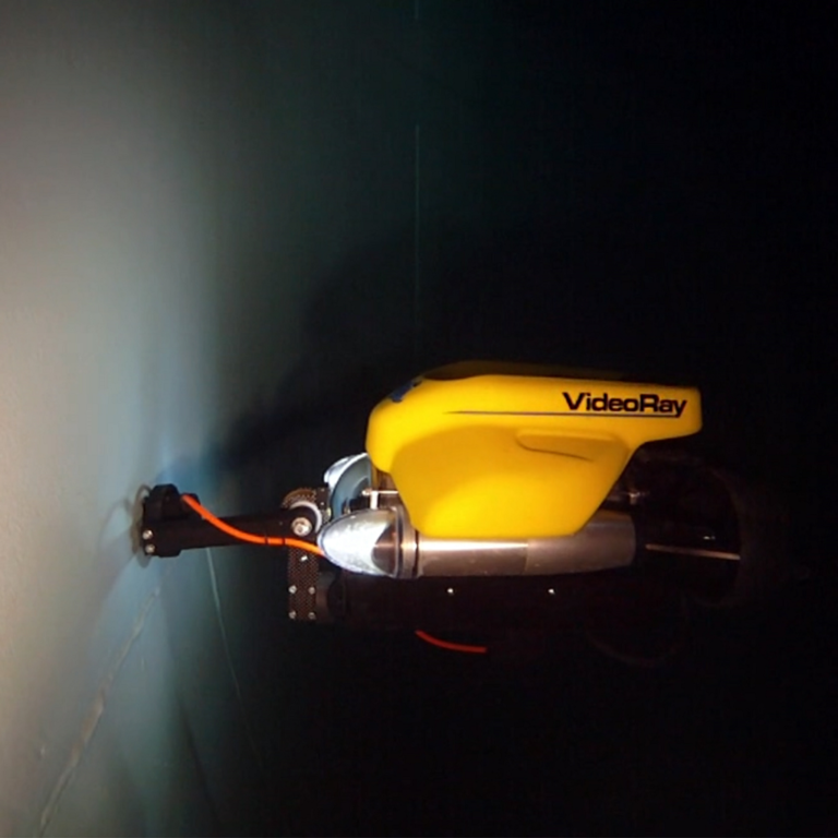 Cygnus Mini ROV Mountable - Cygnus Instruments