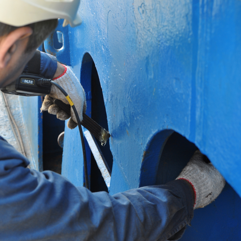 Cygnus 2+ Hands Free - Cygnus Instruments