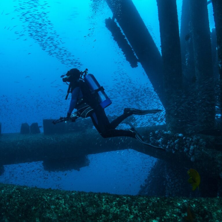 NEW Cygnus Underwater - Cygnus Instruments